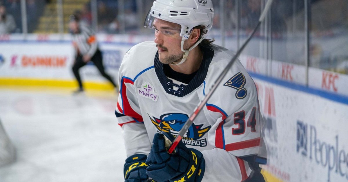Springfield Thunderbirds | Blues Assign Logan Brown to T-Birds for…
