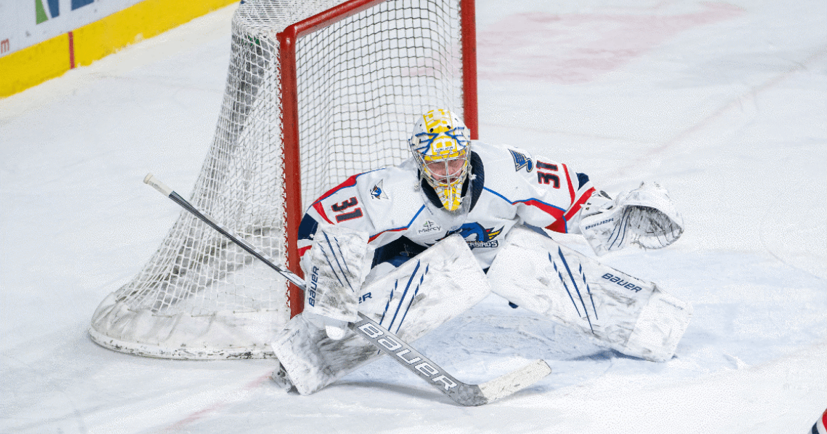 Springfield Thunderbirds | T-Birds Recall G Colten Ellis from Orlando…