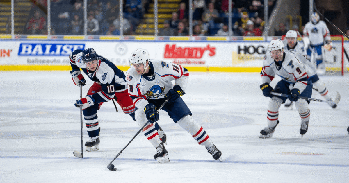 Springfield Thunderbirds | T-Birds' Season Finale Spoiled by Wolf Pack