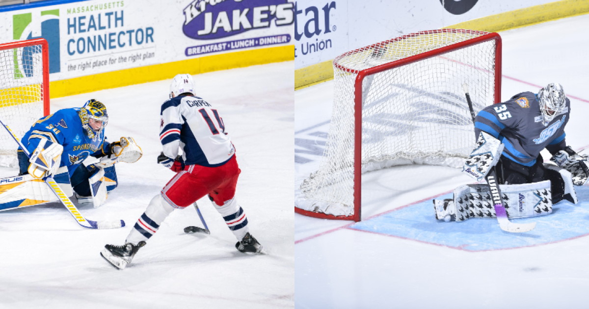 Springfield Thunderbirds | Blues Recall Hofer; T-Birds Sign Garret…