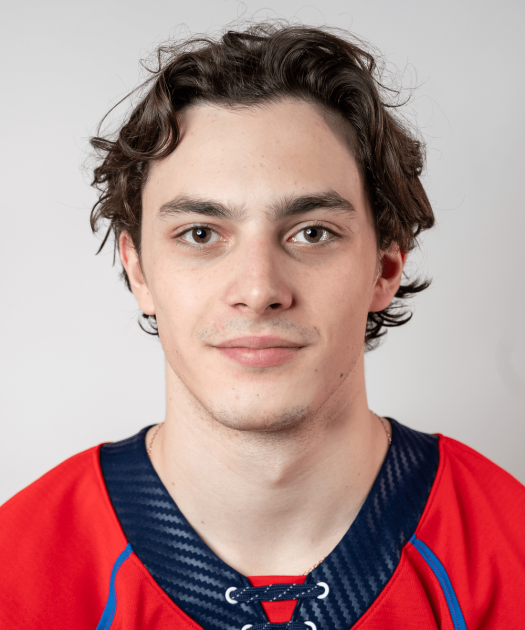 Springfield Thunderbirds | Dalibor Dvorský