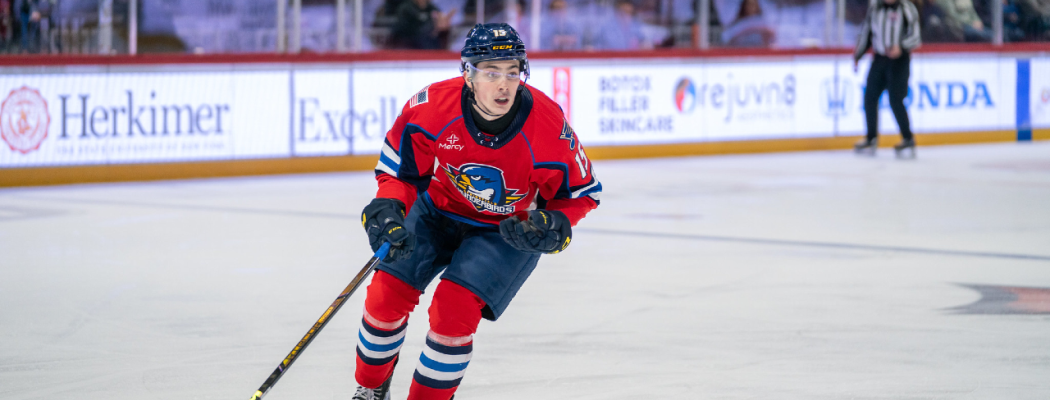 Springfield Thunderbirds | Blues Assign Dalibor Dvorsky to T-Birds