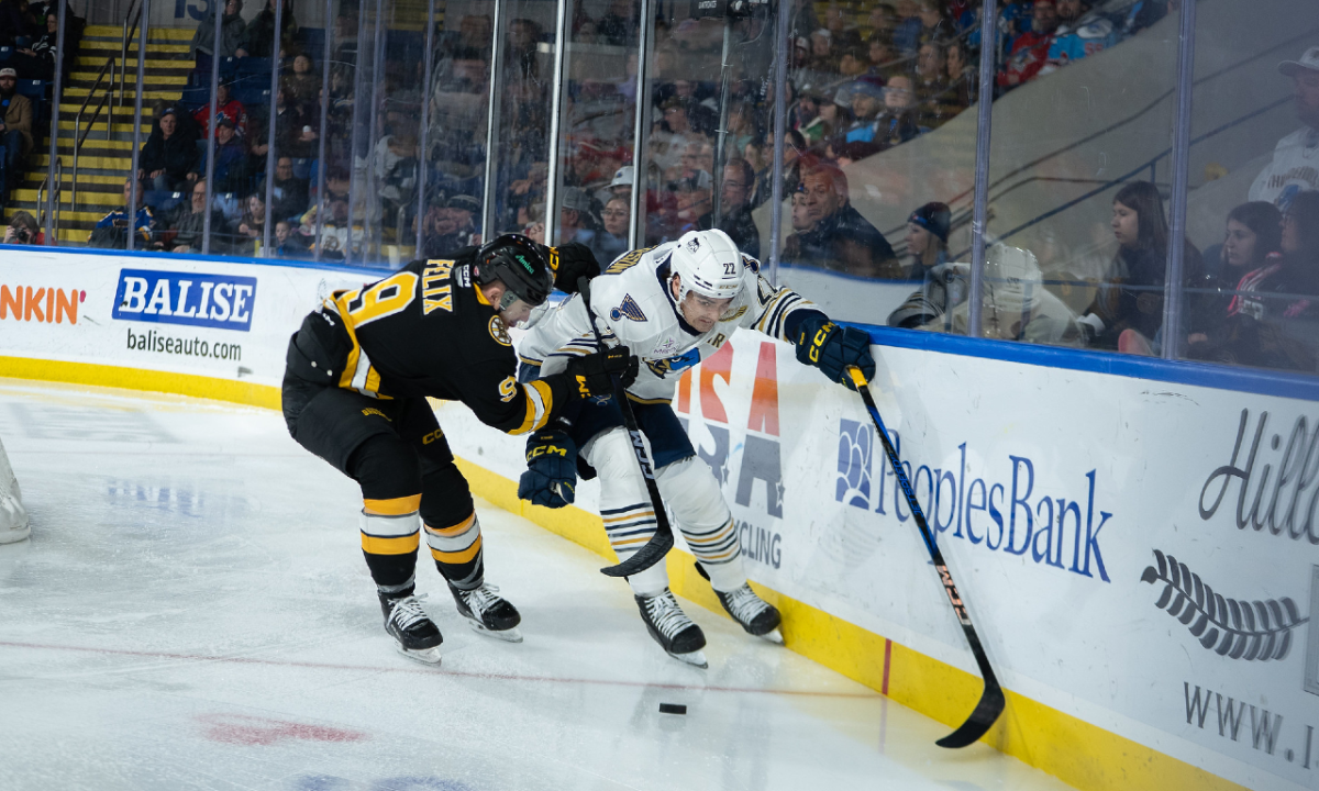 T-Birds’ Point Streak Snapped by Bruins | Pro Hockey News